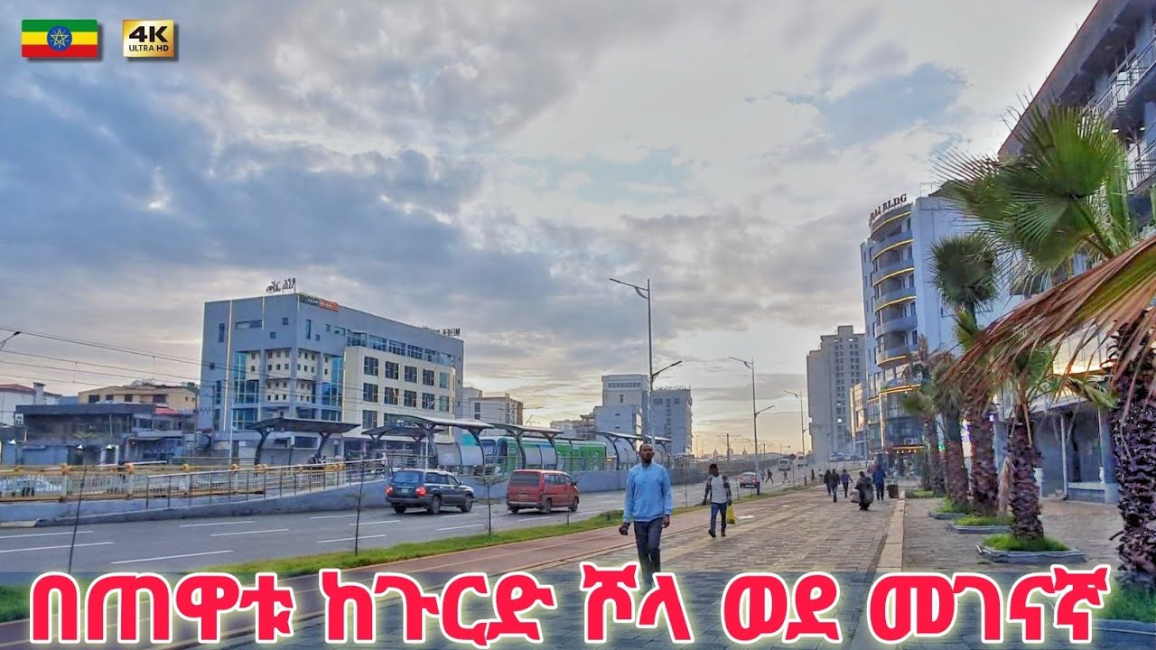 ጉርድ ሾላ ተውባለች | Gurdshola to Megenagna morning walk, Addis Ababa 🇪🇹 ...