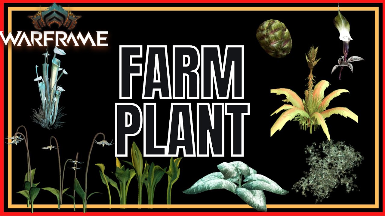 Warframe 2022 How To Farm Plant - YouTube