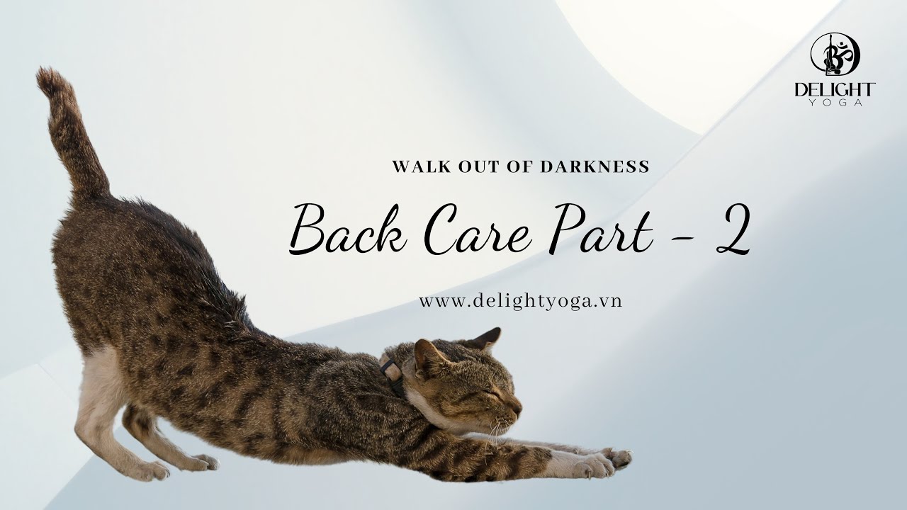 Back Care Yoga Class | Level-2 - YouTube