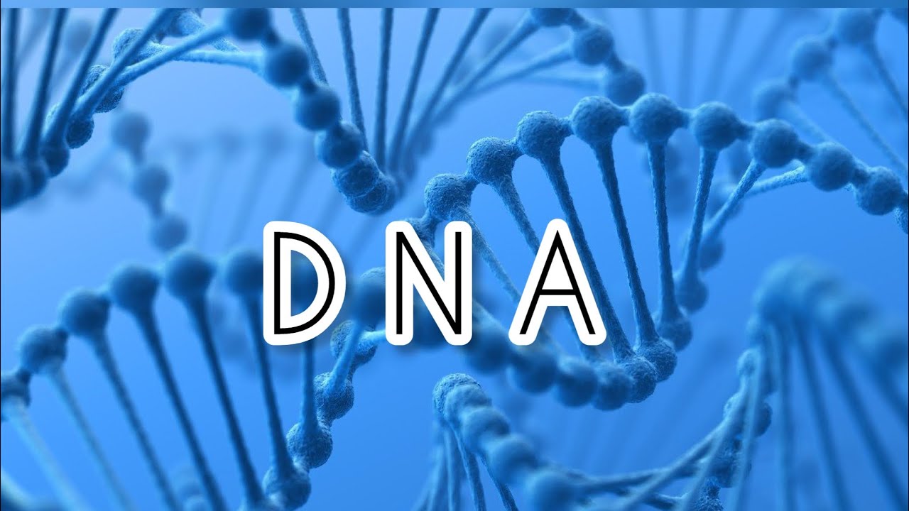 DNA music video - YouTube