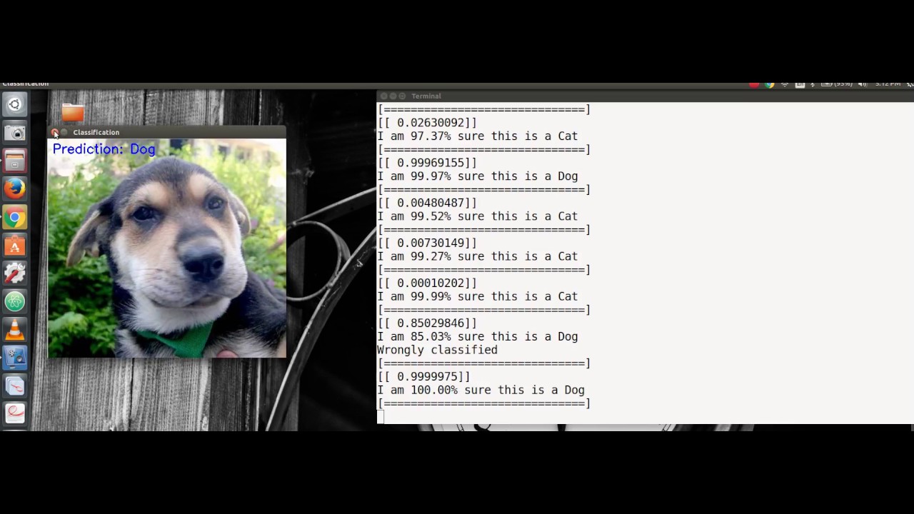 Dogs vs Cats classification using Deep Neural Networks - YouTube