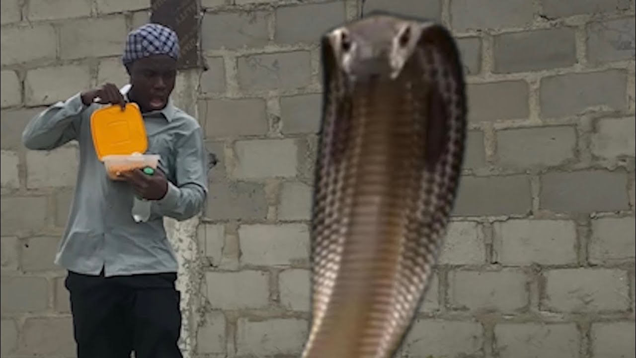 The foreign snake Girl ( chef Tv ) - YouTube