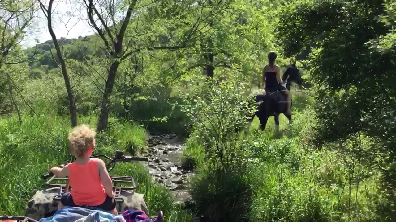Splash Crossing Water - YouTube