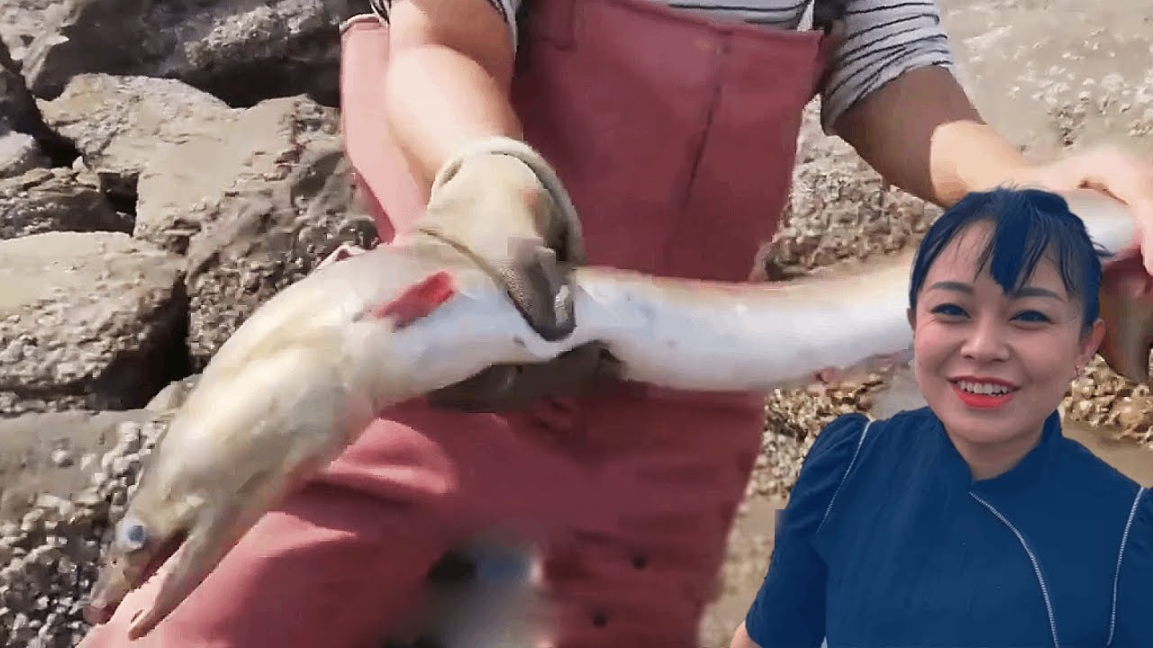 It's exciting to catch a giant eel weighing three or four pounds in a ...