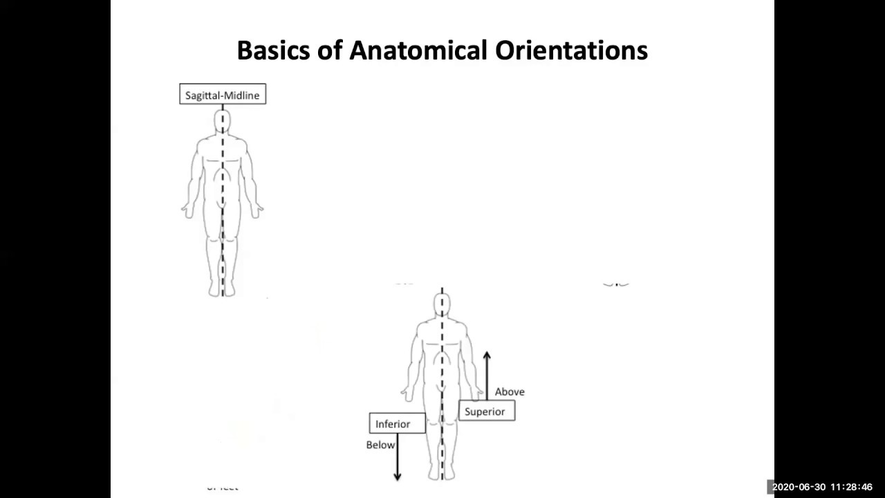 Terminology-Orientation - YouTube