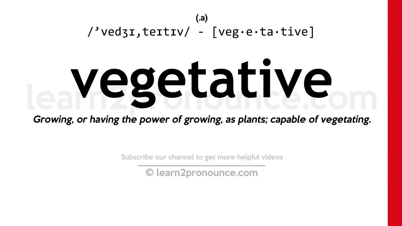 Pronunciation of Vegetative | Definition of Vegetative - YouTube