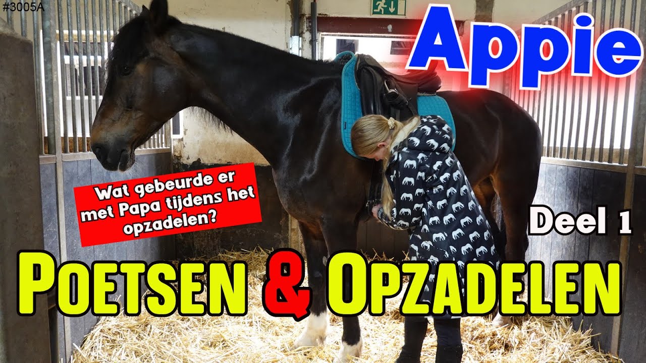 Ik ga PAARRIJDEN op APPIE. Een MOOI GROOT PAARD. Eerst even rustig ...