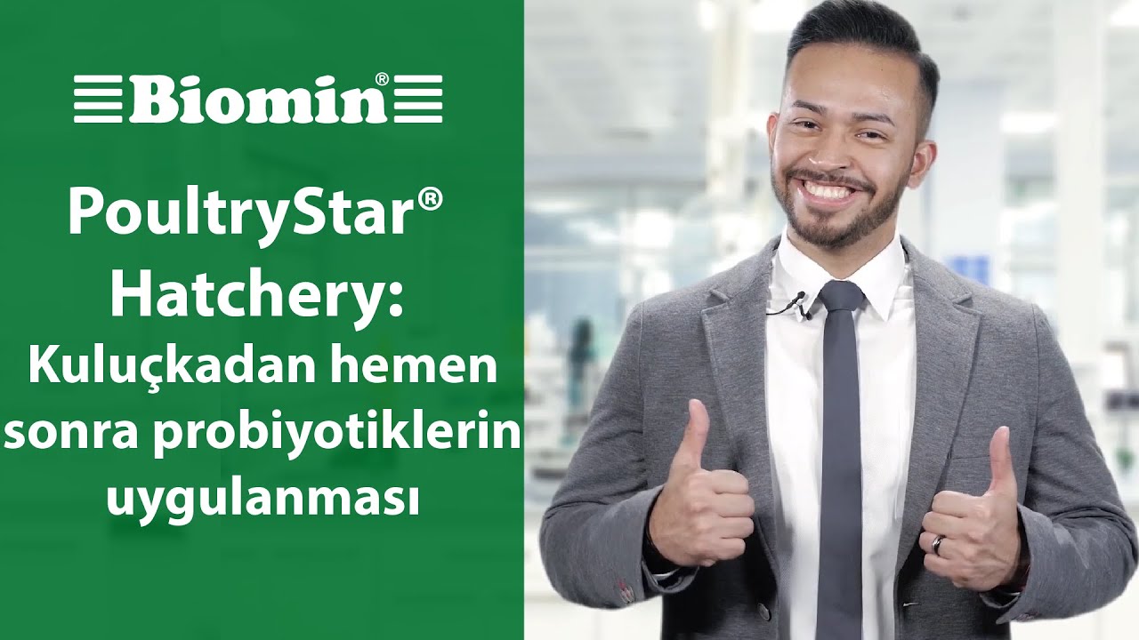 PoultryStar® Hatchery: Kuluçkadan hemen sonra probiyotiklerin ...