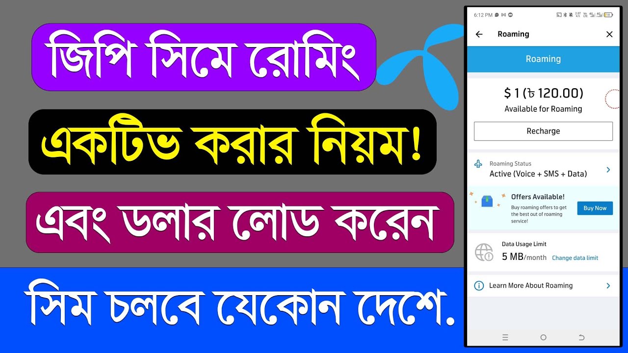 How To Activate GP International Roaming - Grameenphone Roaming Sim ...