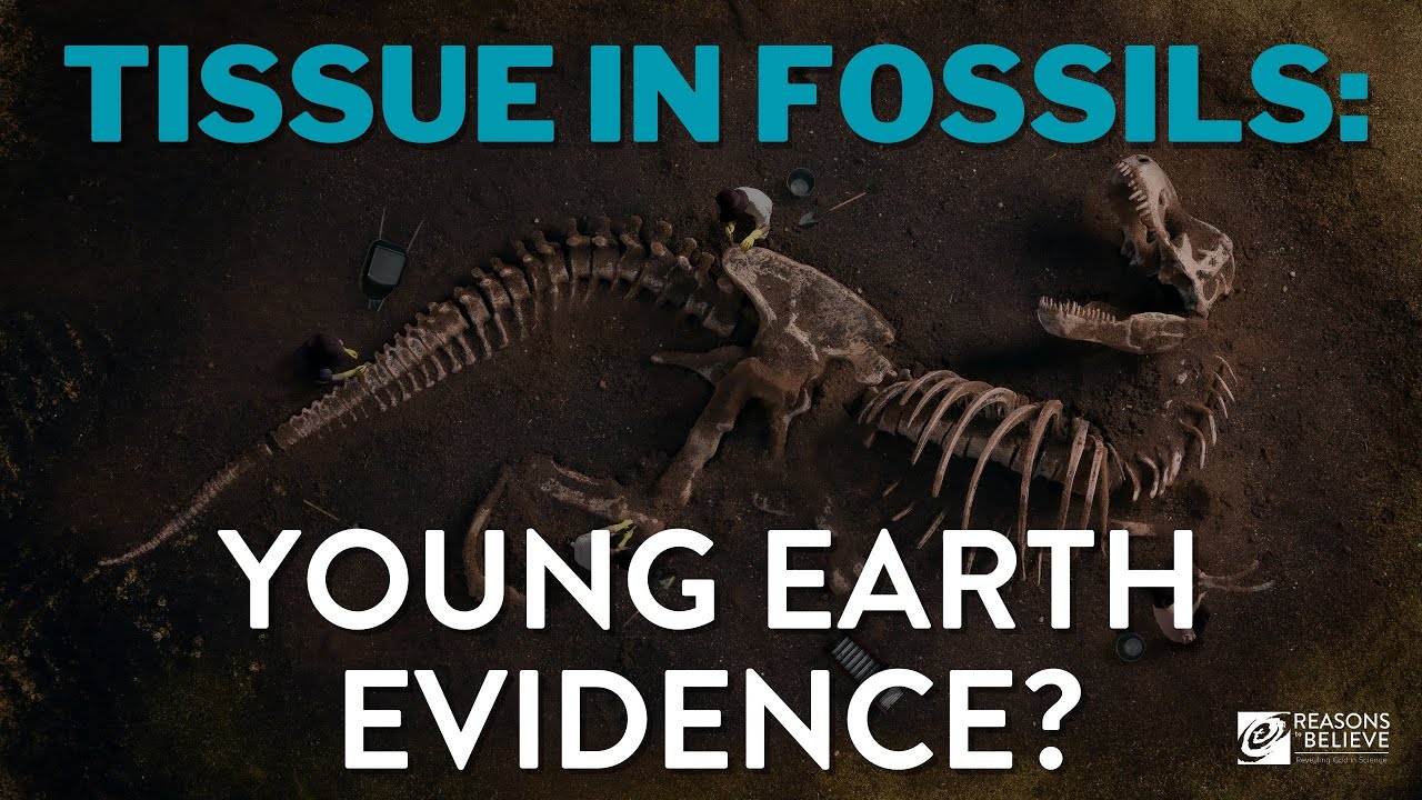 Decoding Fossil Soft Tissues: A Scientific Perspective by Fazale Rana ...