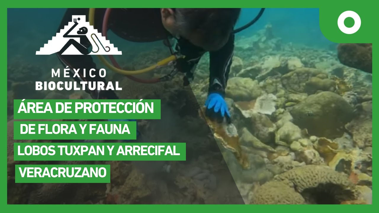 México biocultural - Área de protección de flora y fauna Lobos Tuxpan y ...