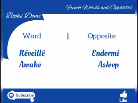 French words and Opposite (Part 1) Learn French - YouTube