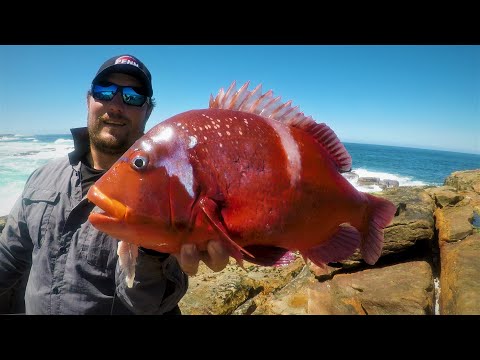 Catching Tomatoes From The Rocks - How To Catch Deep-Sea Fish From The Shore