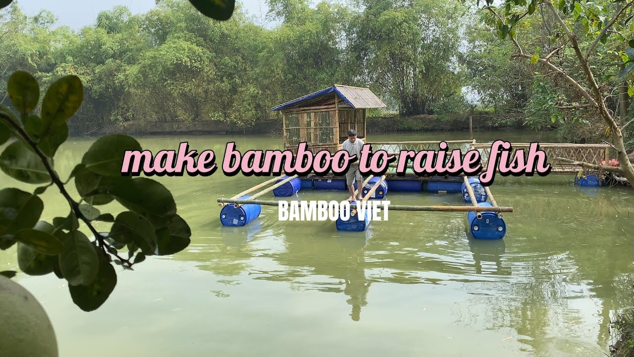 Full Video Make a Bamboo Floating Rafts to Raise Fish on Water ...