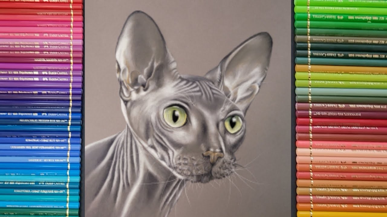 How to Draw a Cat Sphynx - Easy Way | Time-Lapse | Soft Pastels Colors ...