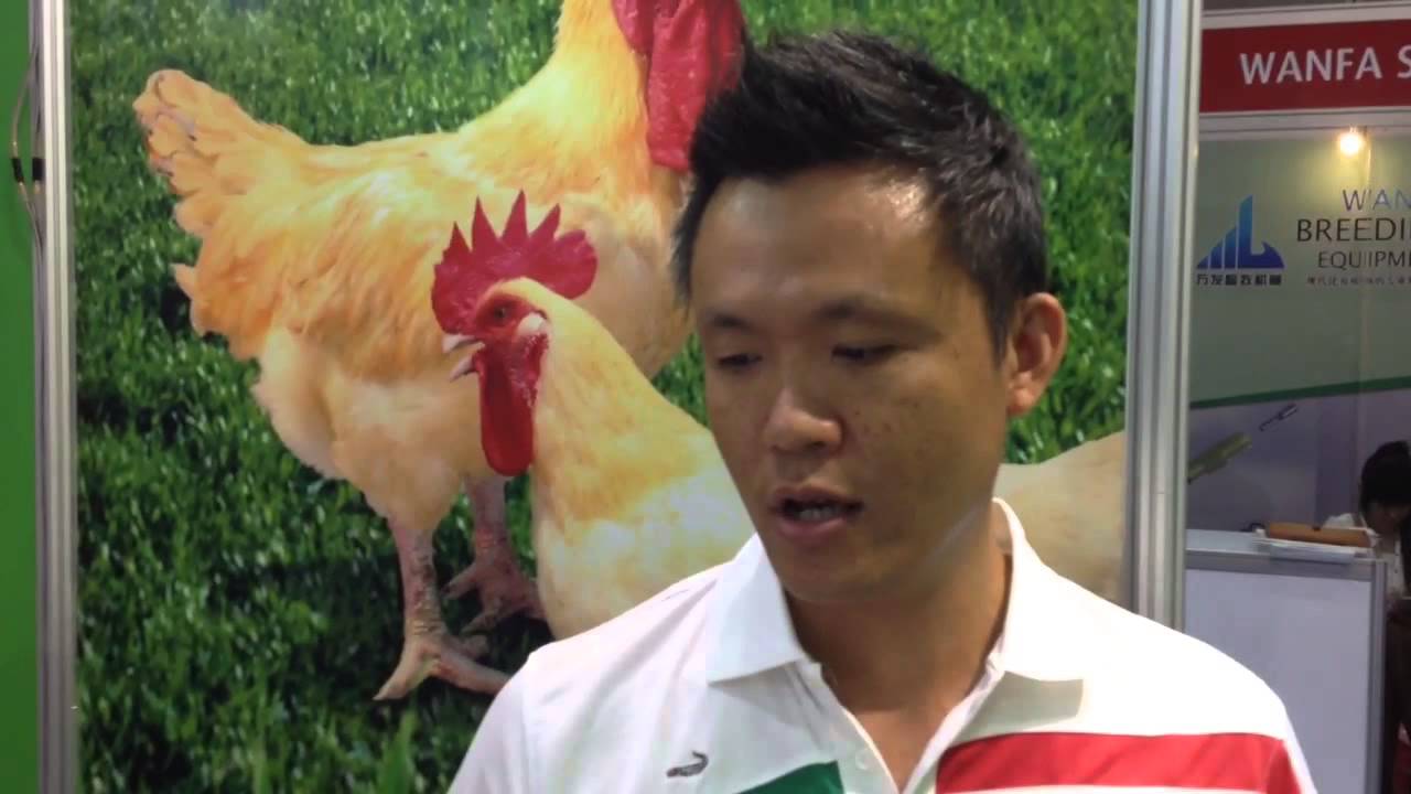 Evolution of the Taiwanese poultry market - Viv Asia 2015 - YouTube