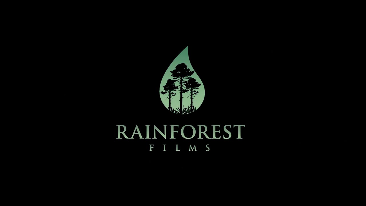 Screen Gems / Rainforest Films (Stomp the Yard) - YouTube