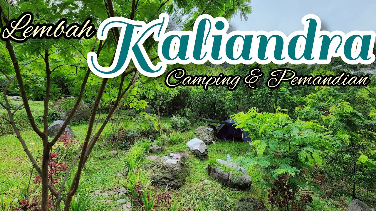 tempat camping Sepi dari suara kendaraan | Lembah Kaliandra Camping ...