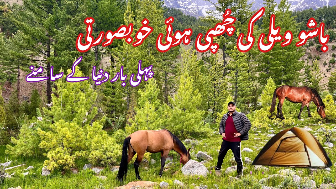 Basho Valley Skardu | Hidden Part of Basho Valley Skardu | Basho Valley ...