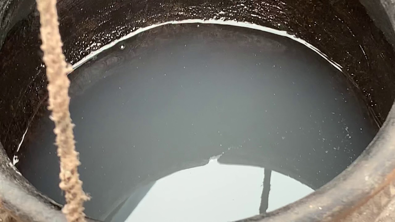 Toddy Palm sap collection - YouTube