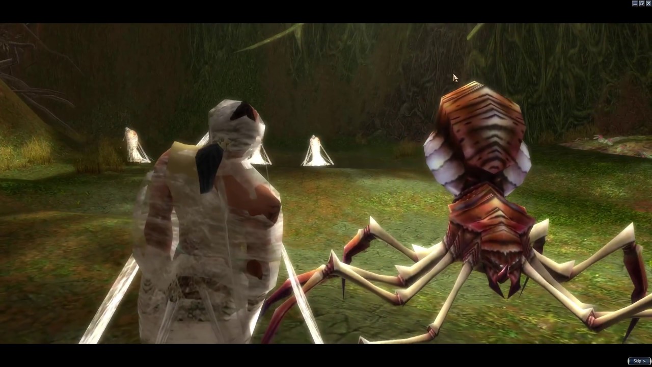 The spiders captured the peoples oh no - Guild Wars - YouTube