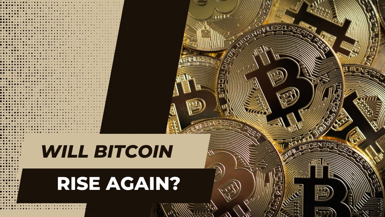 AI Talks: Will Bitcoin Rise Again? - YouTube