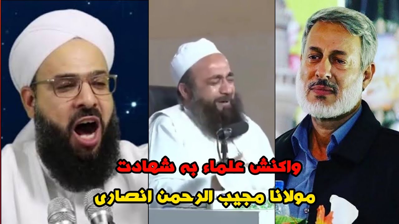 واکنش علماء به شهادت مولانا مجیب الرحمن انصاری چراغ هدایت Youtube