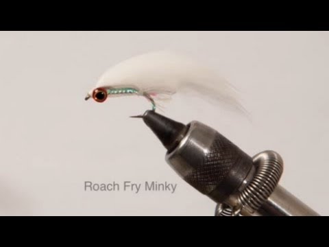How to make a Roach Fry from Fishtec - YouTube