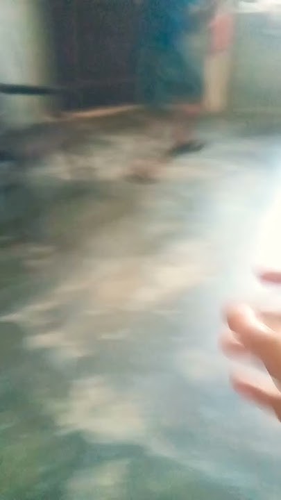 19 May 2024 - YouTube