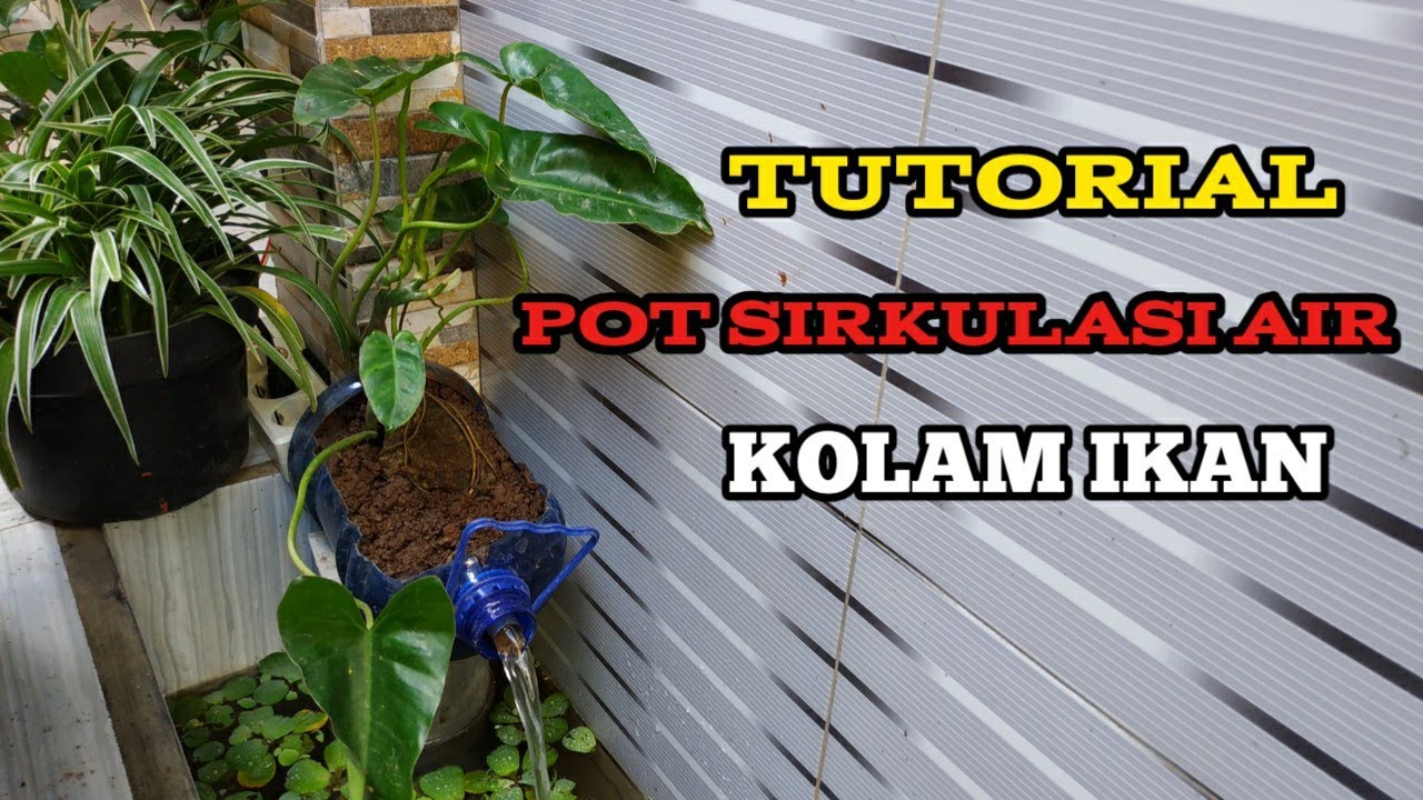 TUTORIAL CARA MEMBUAT POT SIRKULASI AIR KOLAM IKAN - YouTube