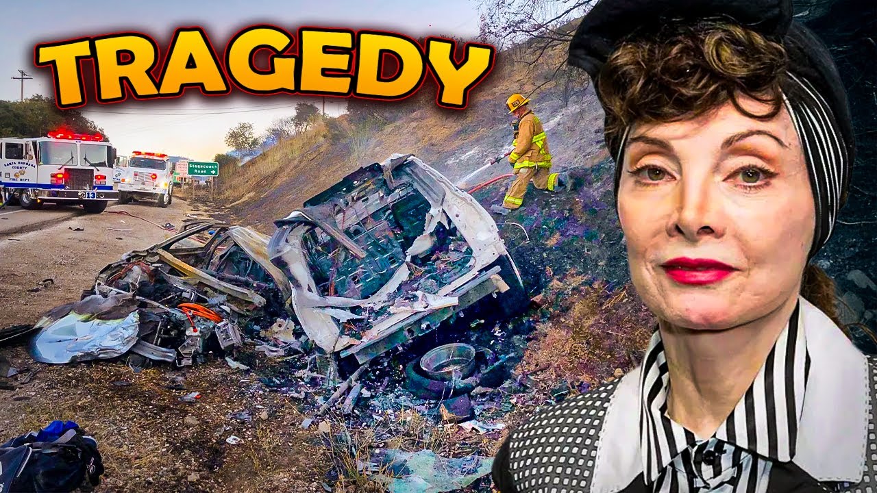 The Tragic End of Toni Basil, the "Mickey" Singer Who Never Saw a Dime ...