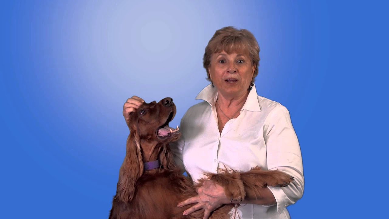 Marcia Ladendorff - Course Intro - YouTube