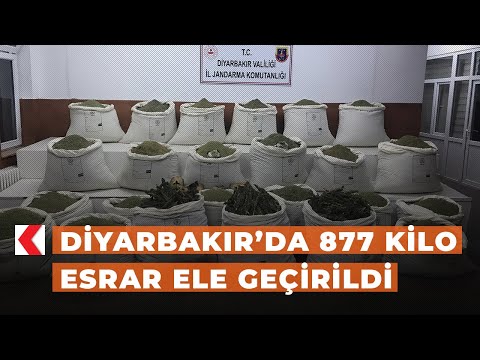 Diyarbakır’da 877 kilogram esrar ele geçirildi