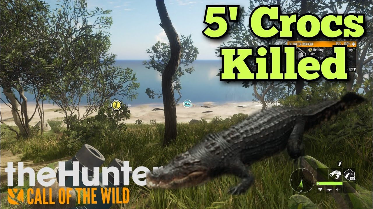 At a Time 5Crocodile Hunted | Crocodile Hunt | Emerald Coast Australia ...