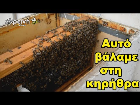 Πατέντα με παγίδα μελισσιού. Πως πιάνουμε περισσότερα μελίσσια. Κόλπο ...
