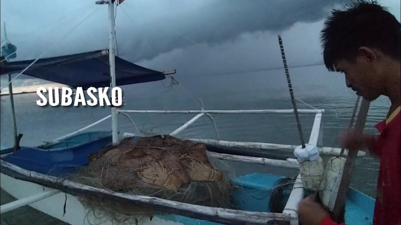Catch and sell filipino traditional fishing varando tv - YouTube
