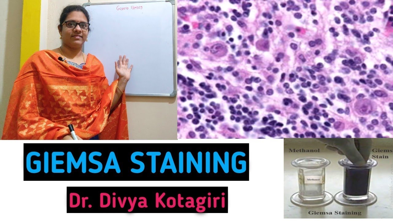 Part 6: Giemsa staining# differential staining technique# staining techniques# Genes & Genus ...