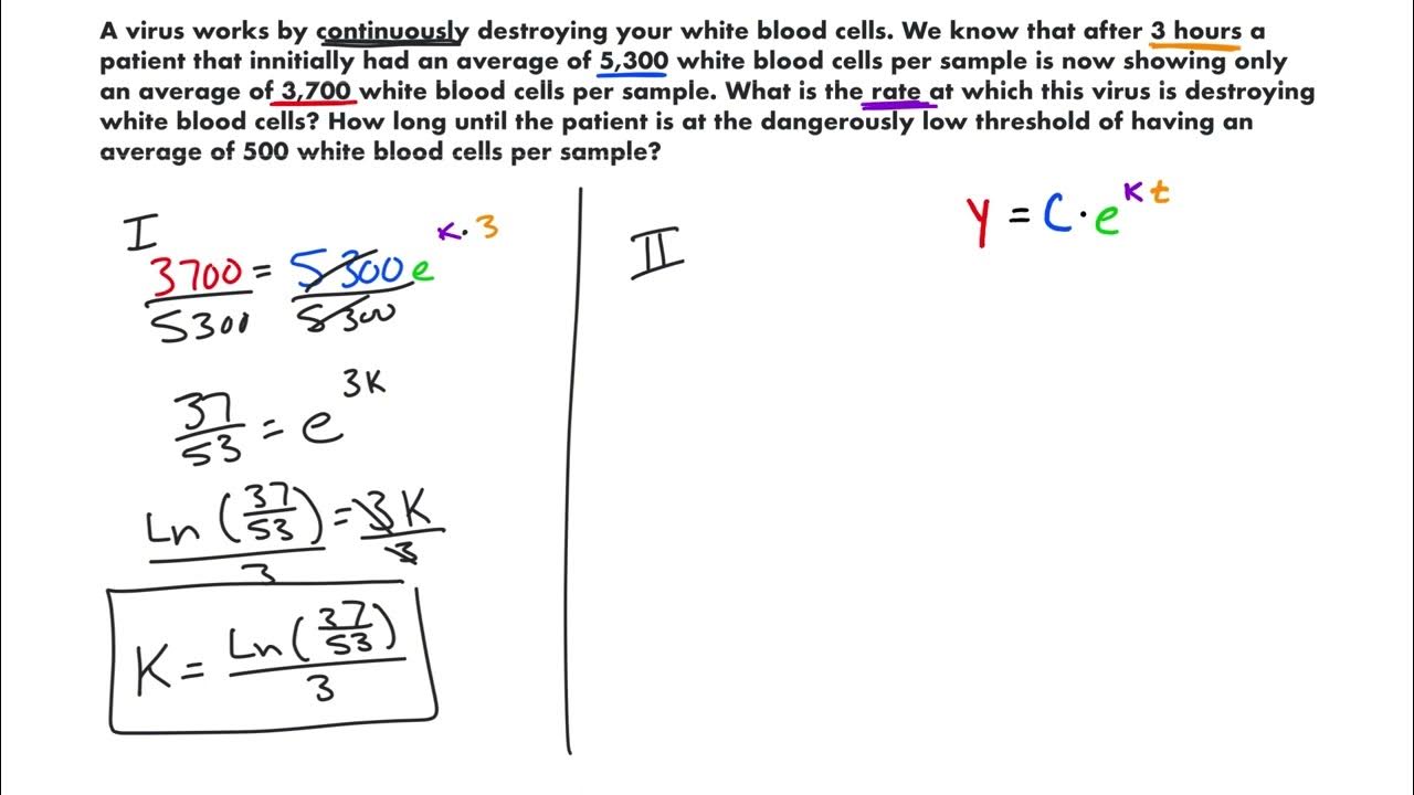 A2 Skill 10.07 - Solving Logarithmic Word Problems - YouTube