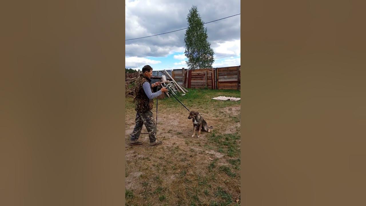 Прилежный ученик - YouTube