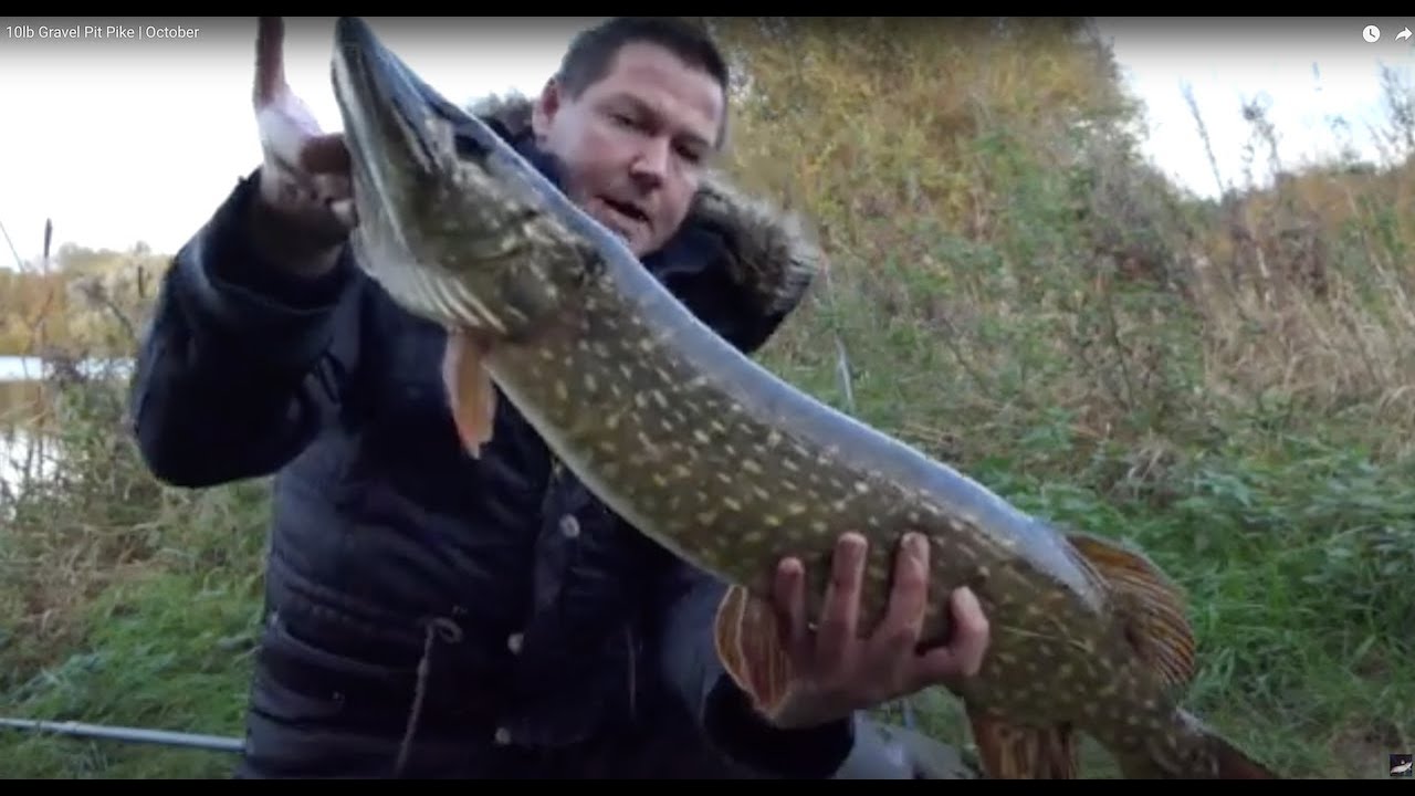 10lb Gravel Pit Pike | October - YouTube