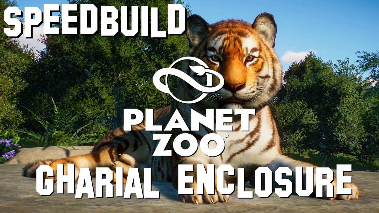 Gharial enclosure | Planet Zoo Speedbuild #5 - YouTube