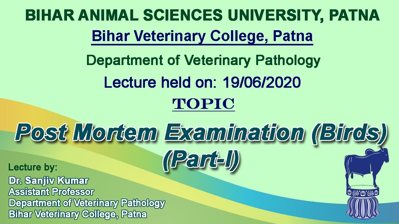 Post Mortem Examination (Birds), (Part-I) by Dr. Sanjiv Kumar, Dept. of ...