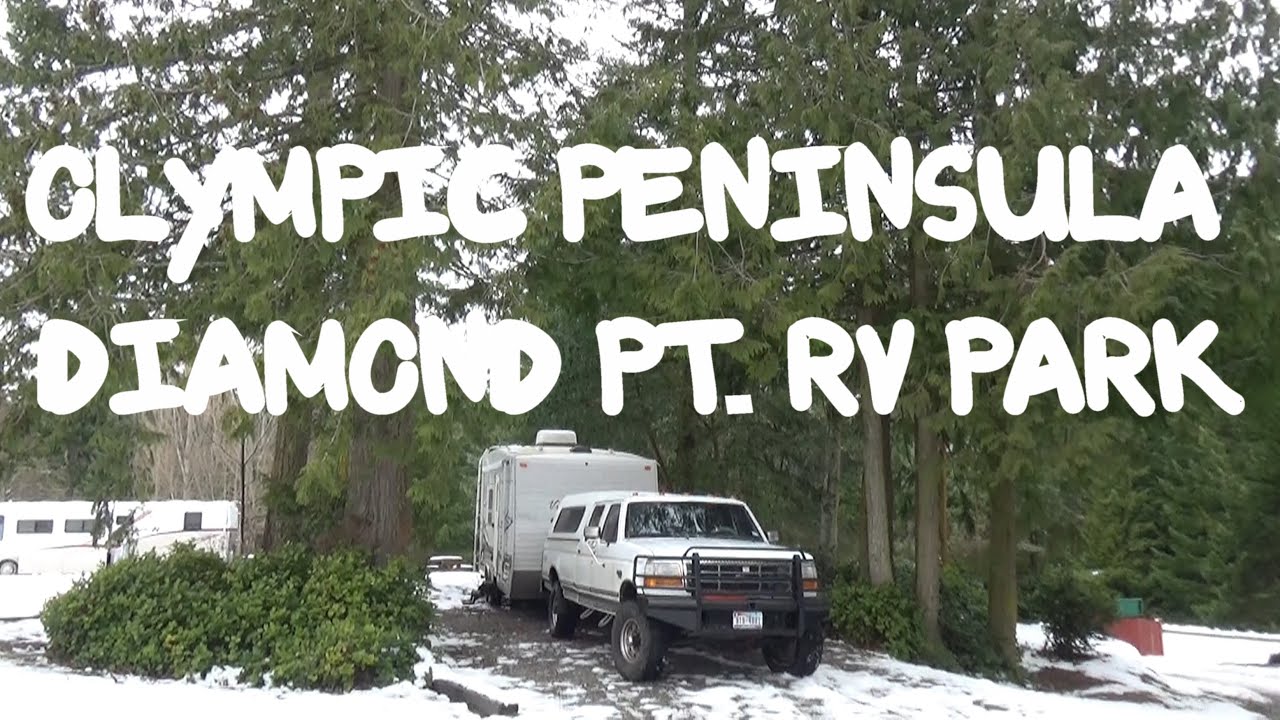 SEQUIM, WASHINGTON - WINTER with HEATED WATER HOSES, MADRONE TREES, AND ...