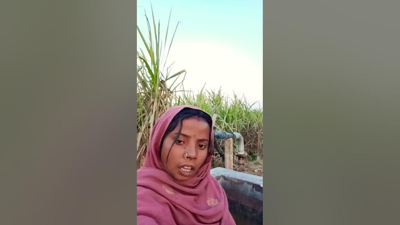 Zalandar ana hoga sibias anna hoga lianie jada neaniyadako páse me ratehe baba - YouTube