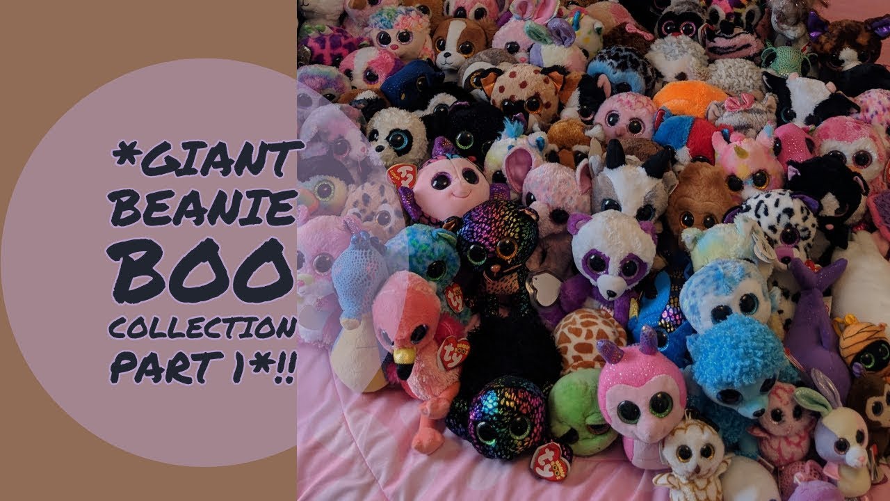 Massive Beanie Boo collection Pt. 1!! - YouTube