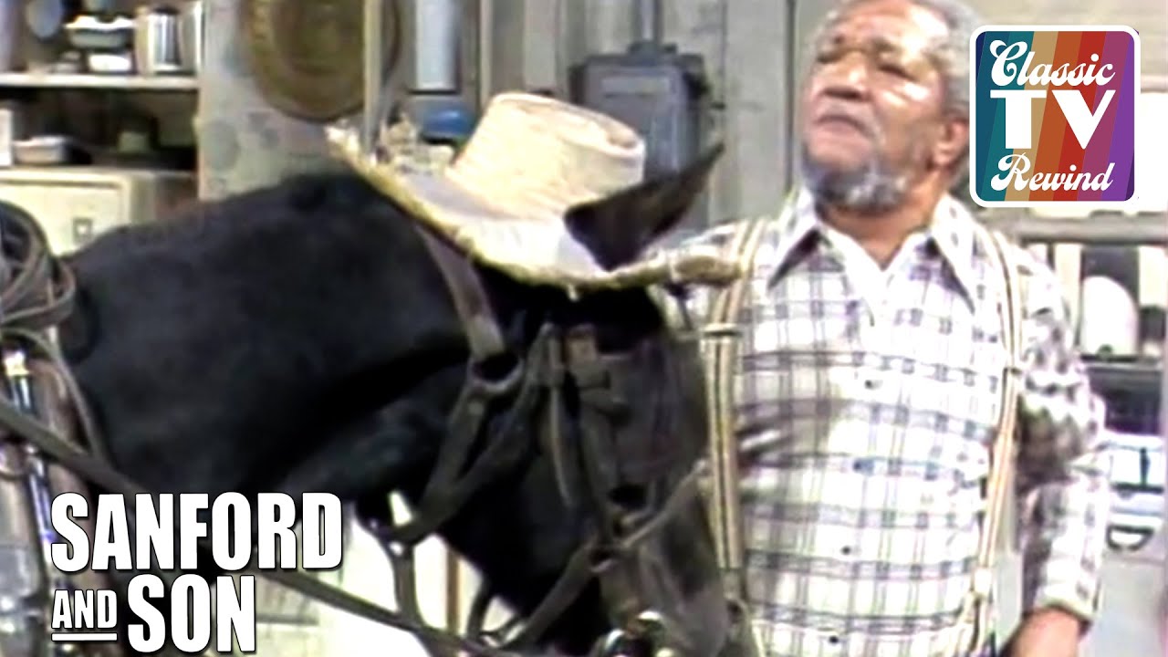 Sanford and Son | The Sandfords Own A Racehorse | Classic TV Rewind ...