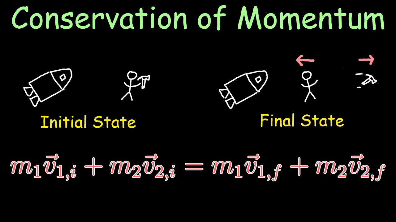 Conservation Of Momentum Physics Tutorial YouTube