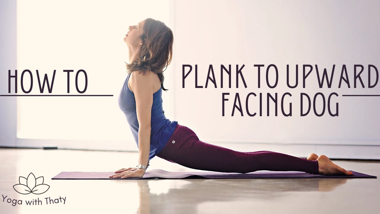 How to do a Plank to Upward Facing Dog Transition - YouTube