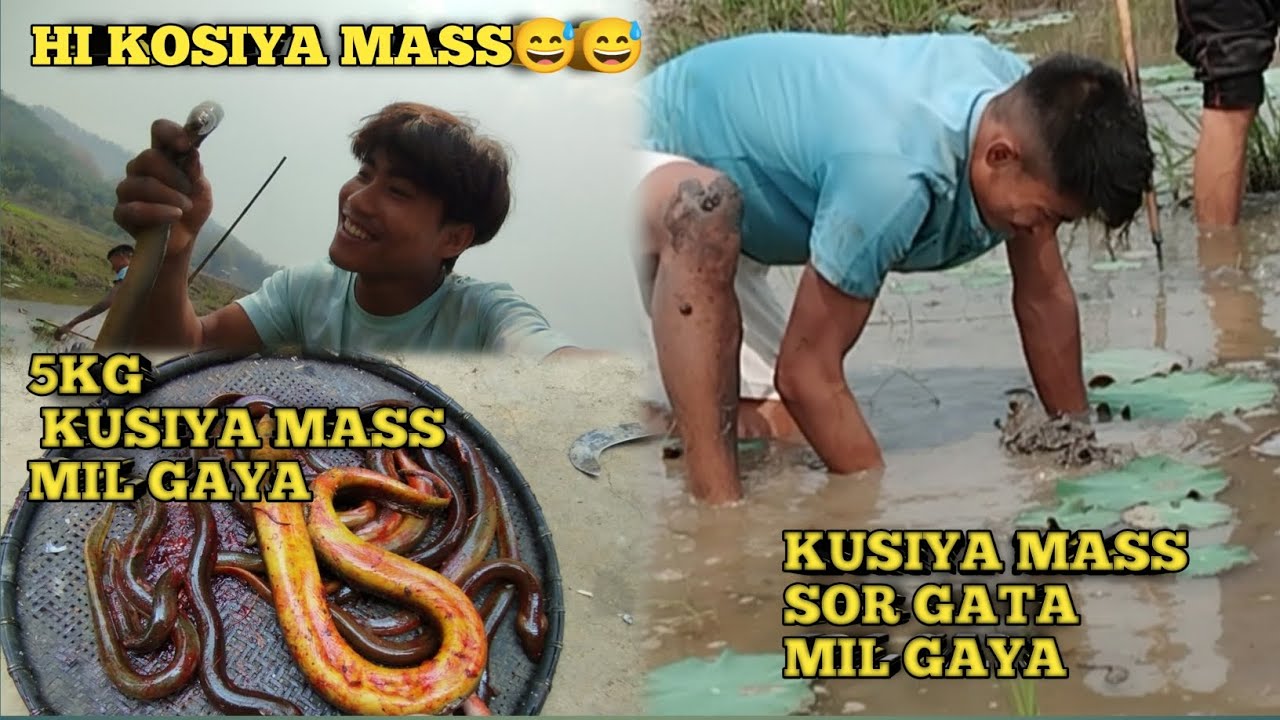 //kusiya mass mara uj //5kg kusiya mass mila FUl injoy 😅😅 1kg sije ka ...