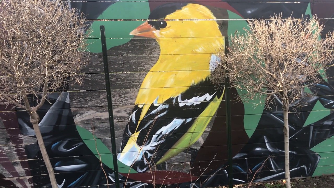 Drake Devonshire + Motor Inn Spring 2020 | Drake Art Tour - YouTube